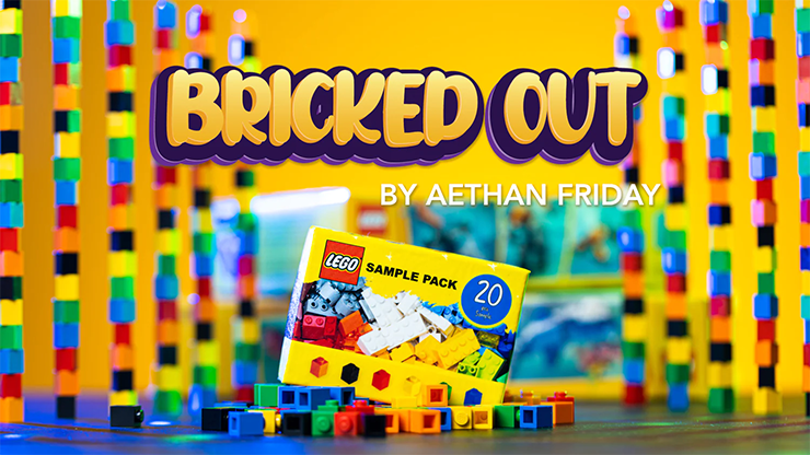 Bricked Out | Aethan Friday | Deinparadies.ch